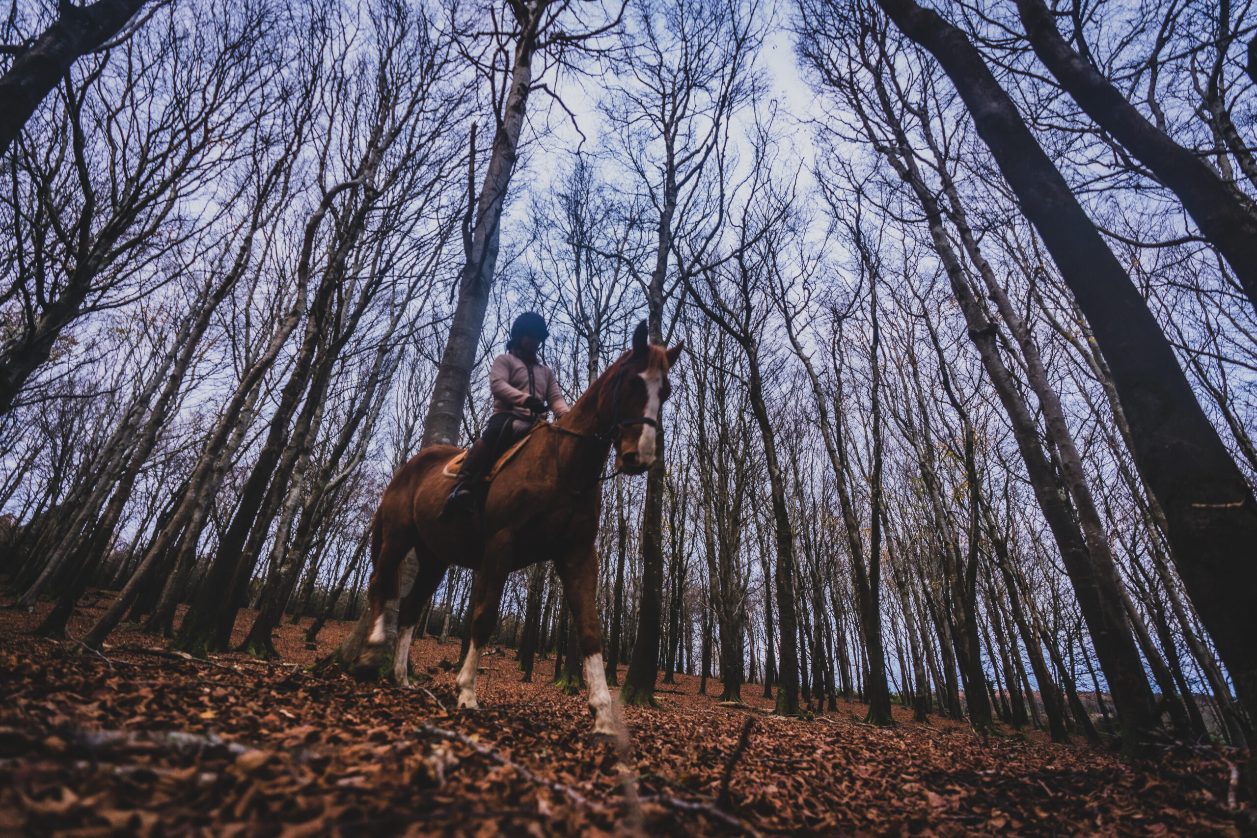 Family Activities Wicklow | Glenview Hotel & Leisure Club