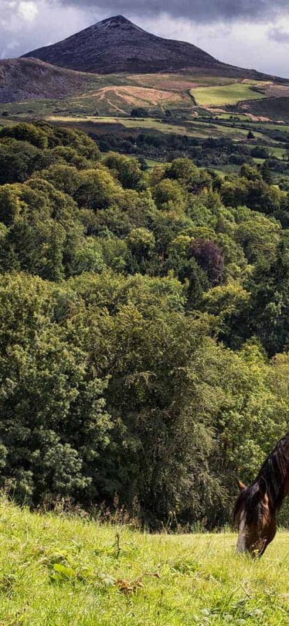 Wicklow Mountains National Park | Glenview Hotel Wicklow