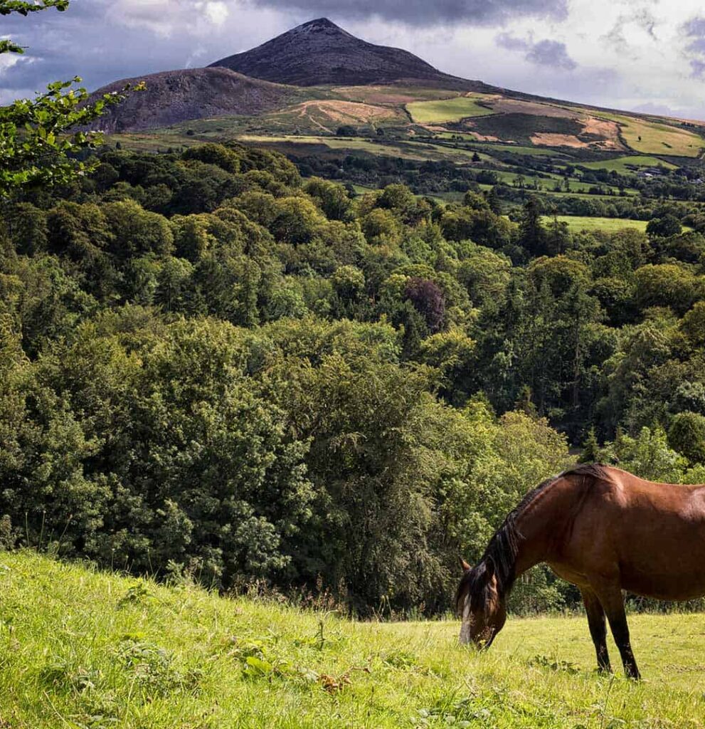 Wicklow Mountains National Park | Glenview Hotel Wicklow