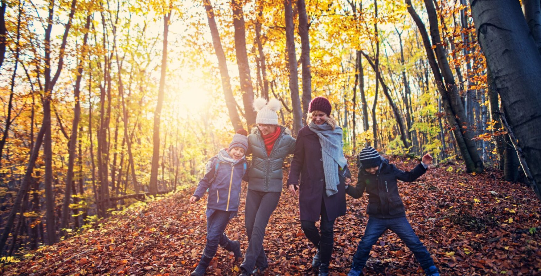 Autumn Hotel Offers in Wicklow | 4-Star Glenview Hotel